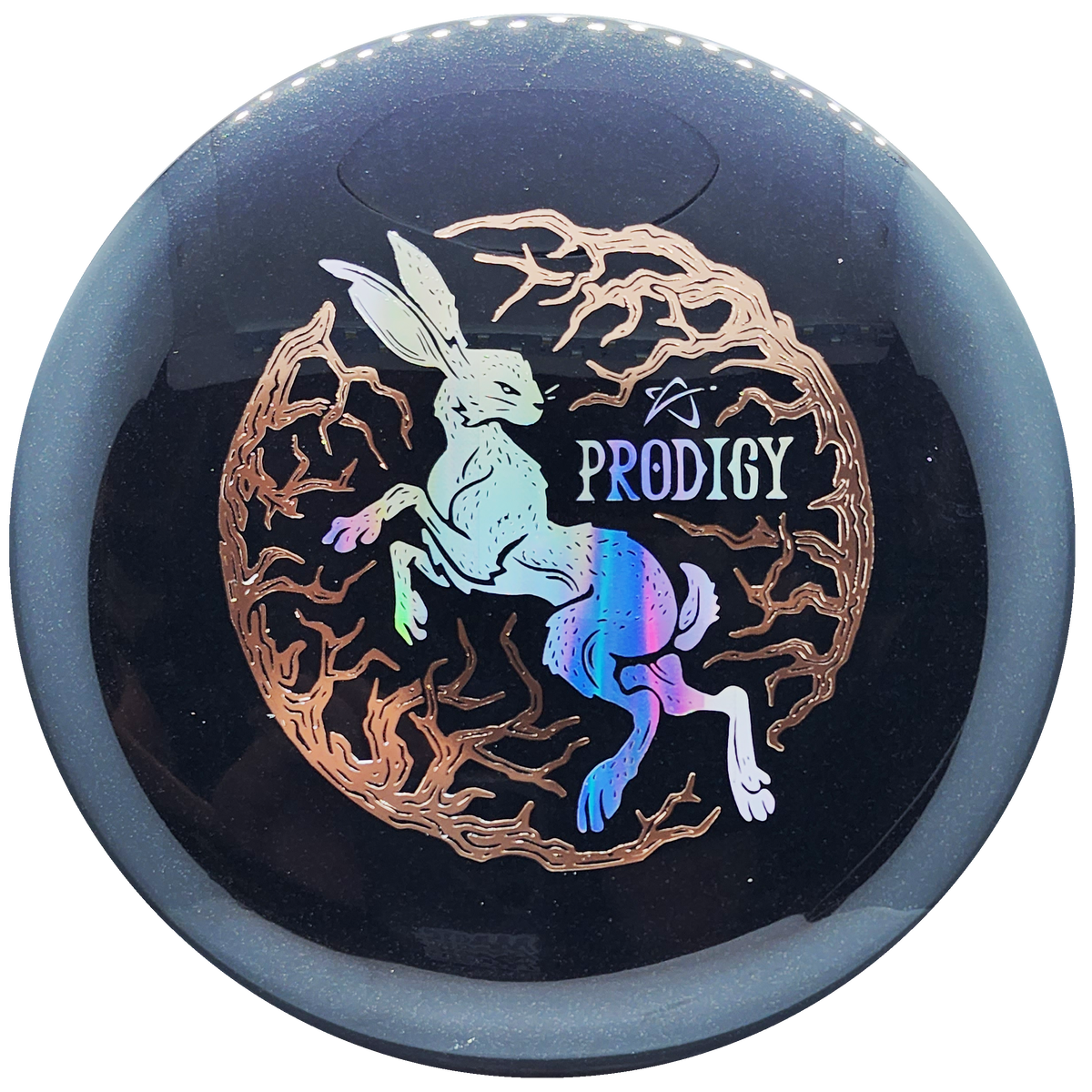 Prodigy: PA-5 Putt & Approach Disc - Thicket Stamp - 500 Plastic - Bla ...