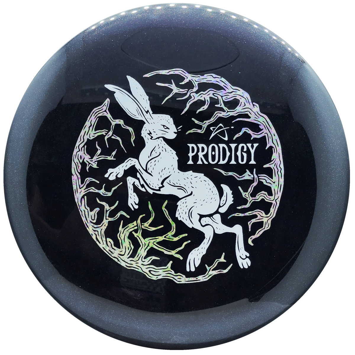 Prodigy: PA-5 Putt & Approach Disc - Thicket Stamp - 500 Plastic - Bla ...